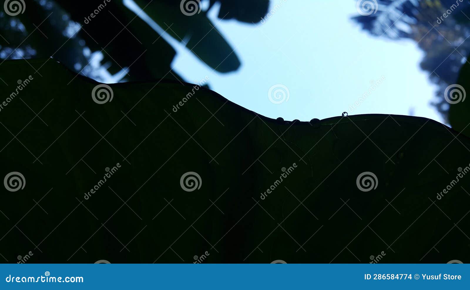 Photos of Beautiful and Cool Scenery Stock Photo - Image of mountains ...