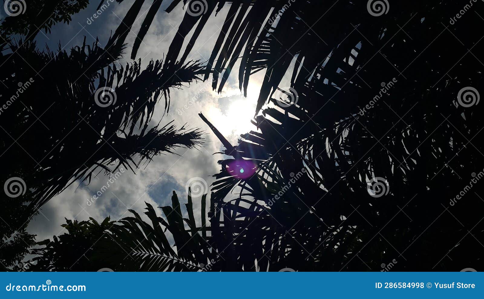 Photos of Beautiful and Cool Scenery Stock Photo - Image of green ...