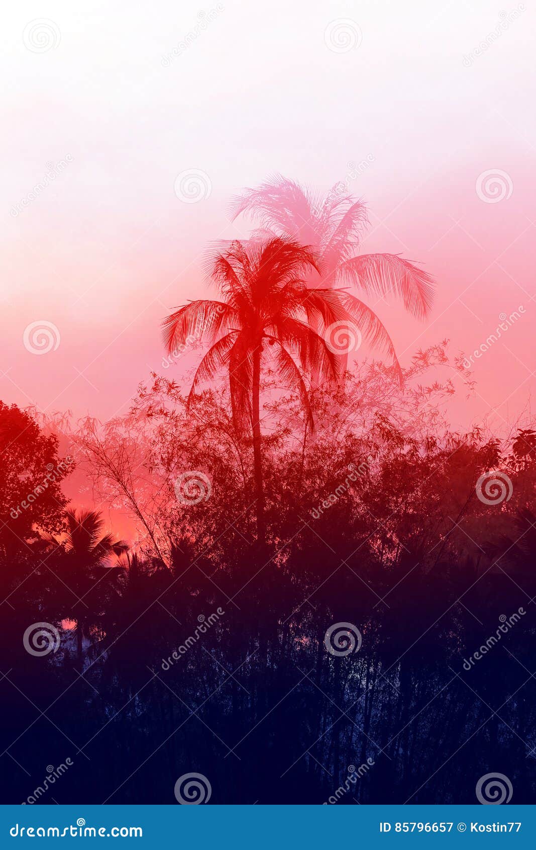 Photos Beautiful Red Palm Trees Stock Image - Image of ocean, leaves ...