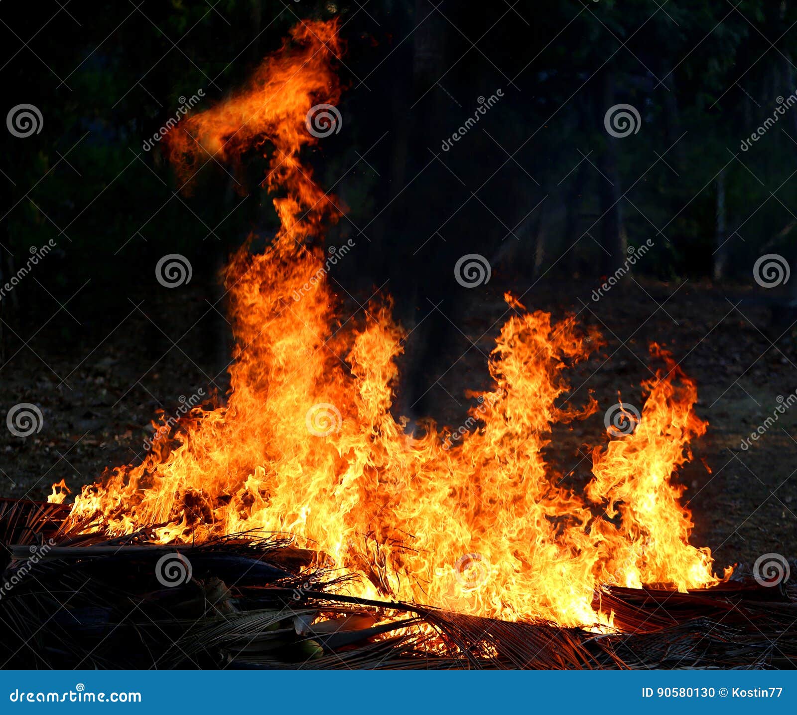 Photos bright big fire stock photo. Image of natural - 90580130