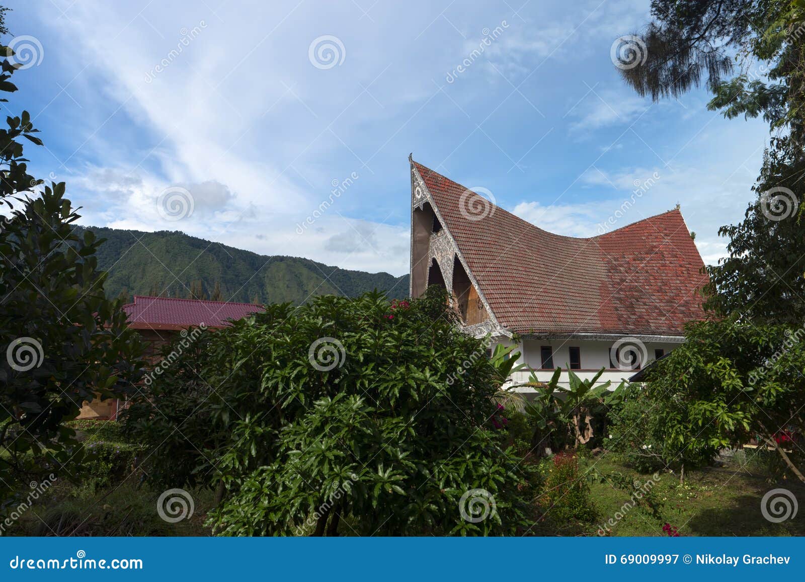 Photos D'usine D'île De Samosir Image stock - Image du paysage, beau ...