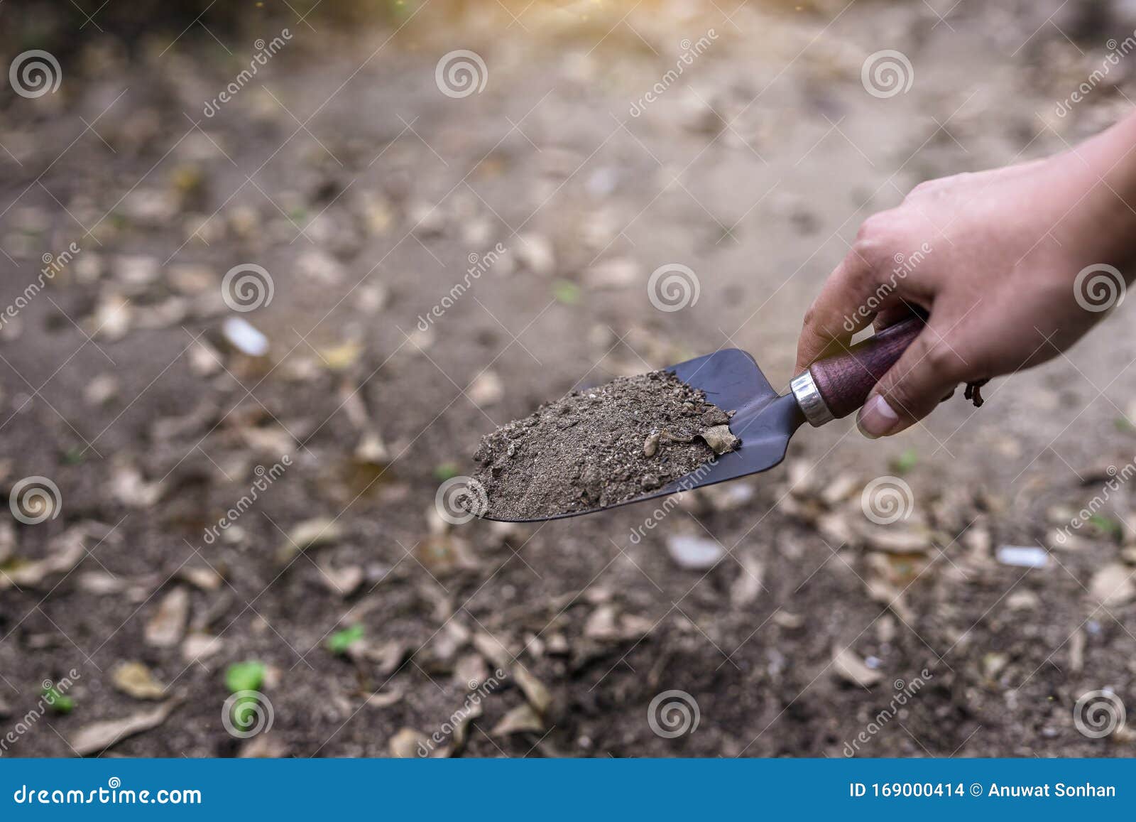 Photos of the Digging Spoon Handle Stock Photo - Image of container ...