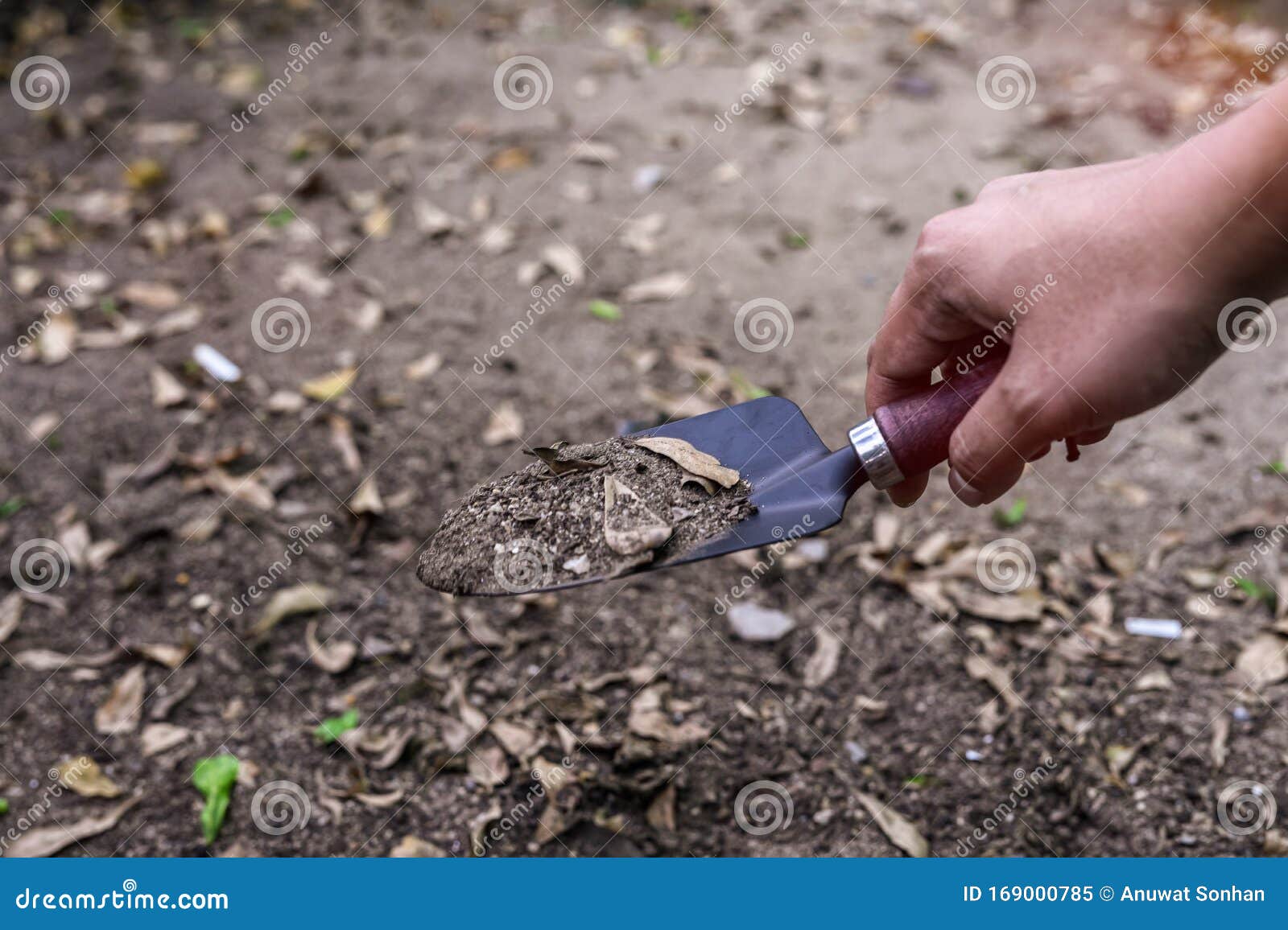 Photos of the Digging Spoon Handle Stock Image - Image of flowerpot ...