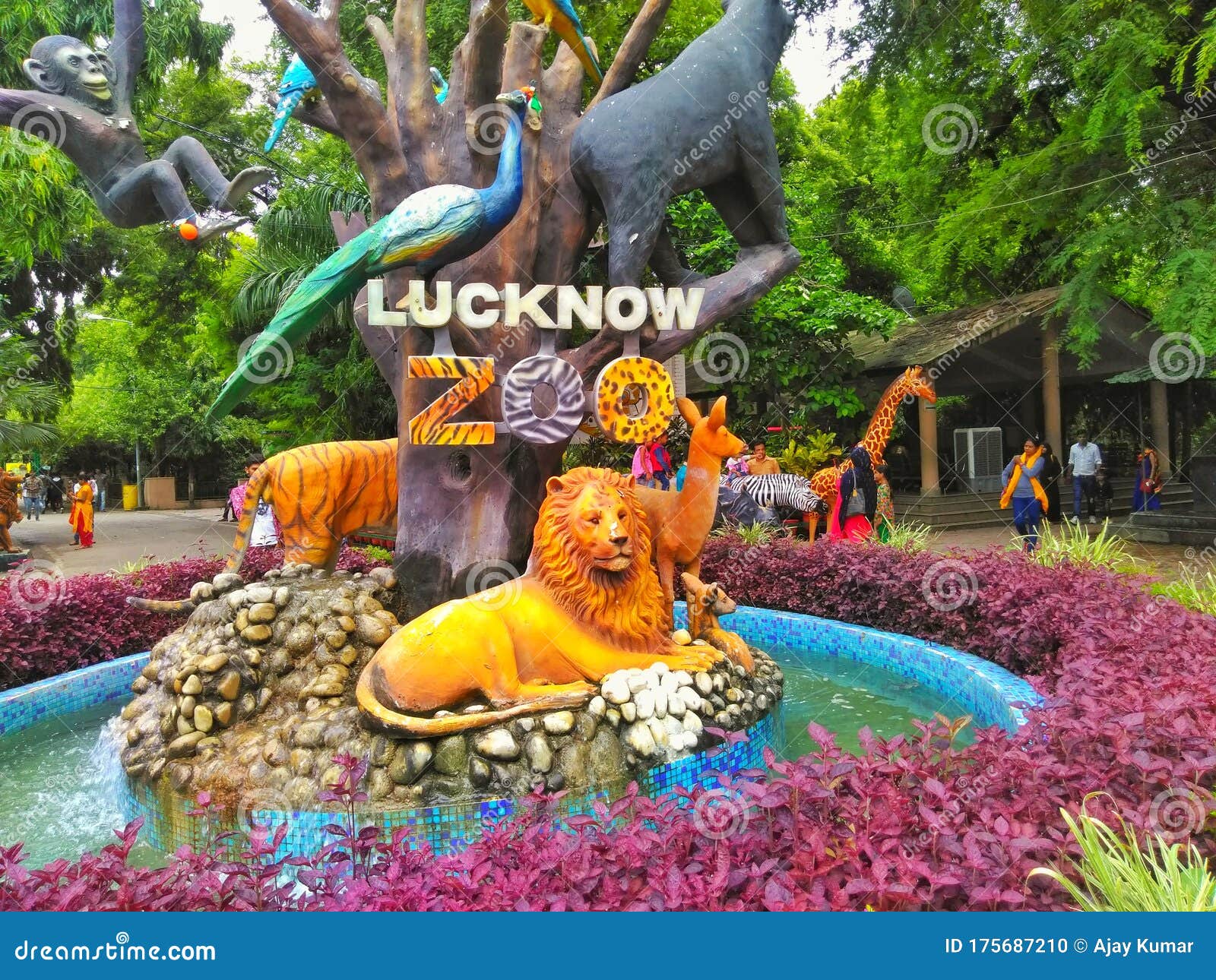 Photos du zoo de lucknow image éditorial. Image du photos - 175687210