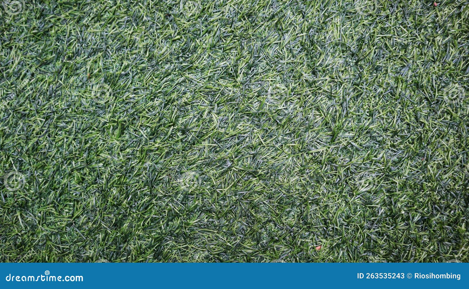 Photos of Green Synthetic Grass for Wallpapers and Backgrounds Stock ...