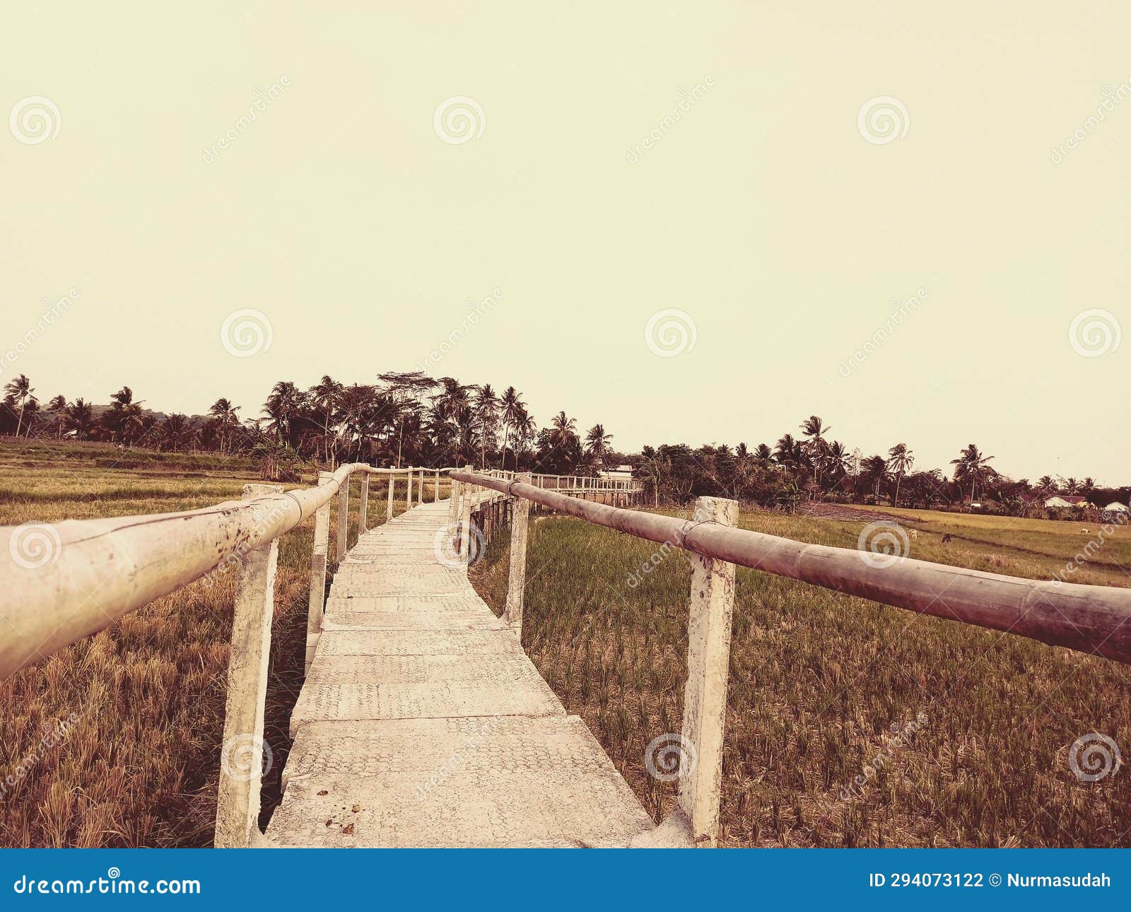 Photos of Natural Landscapes with the Theme of Rice Fields and Roads in ...