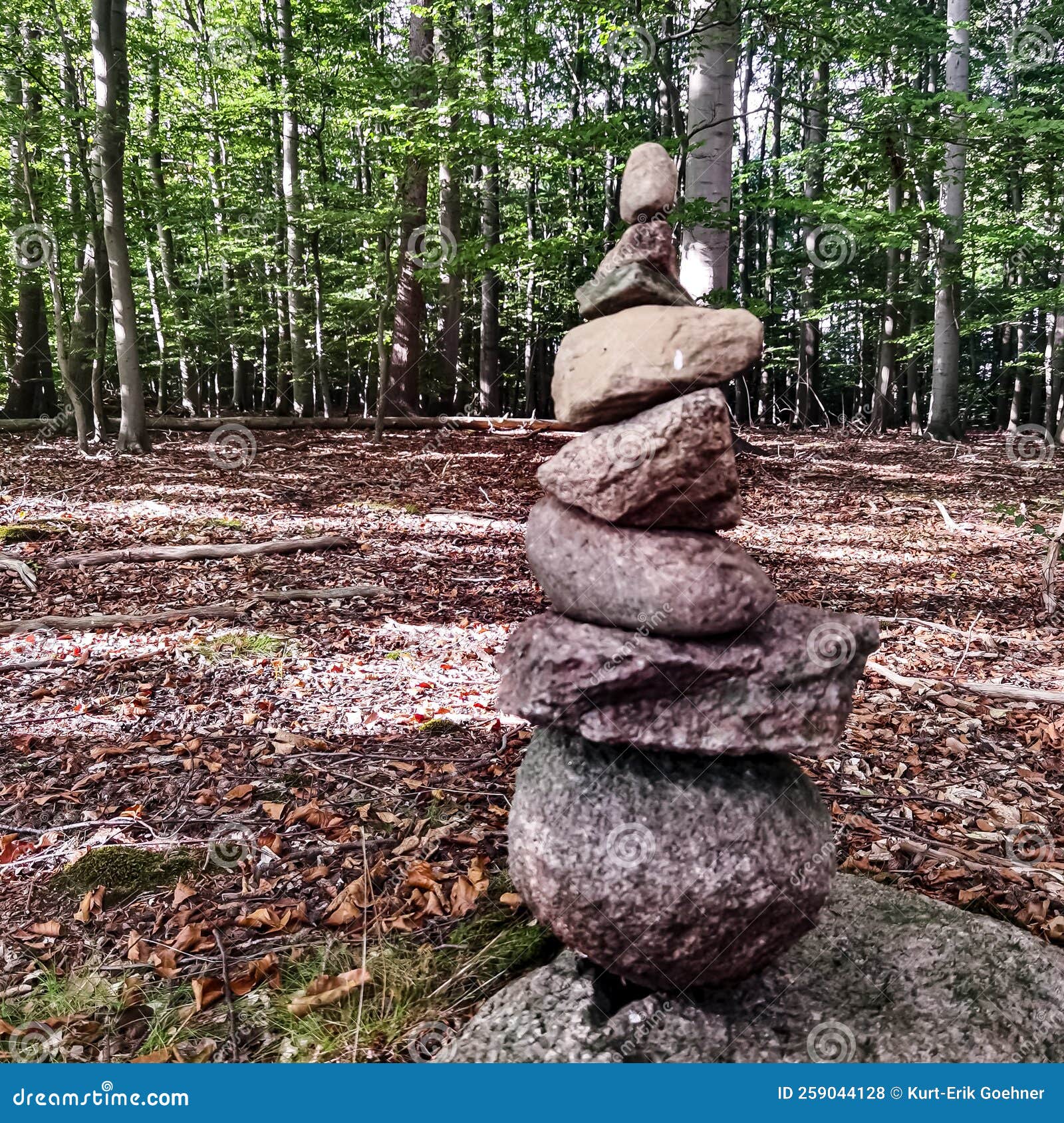 Photos of Nature in Northern Germany Stock Photo - Image of leaf ...