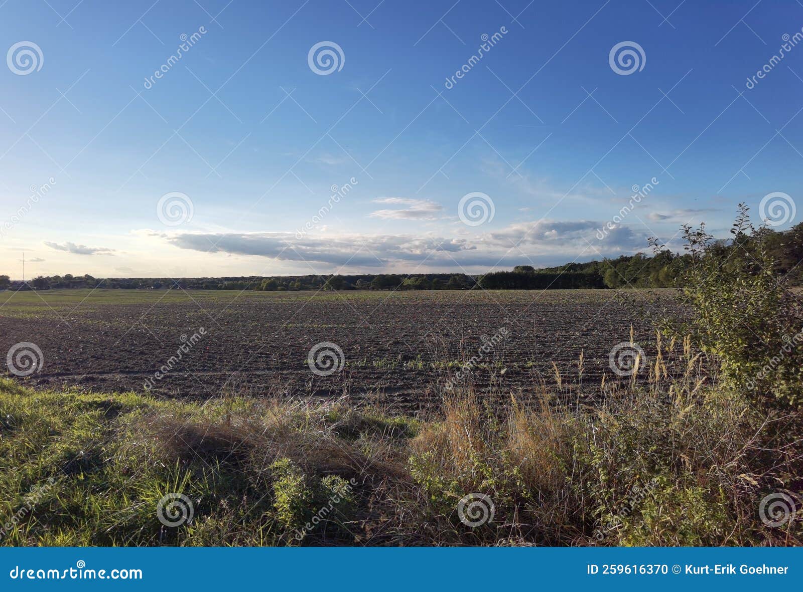 Photos of Nature in Northern Germany Stock Photo - Image of horizon ...