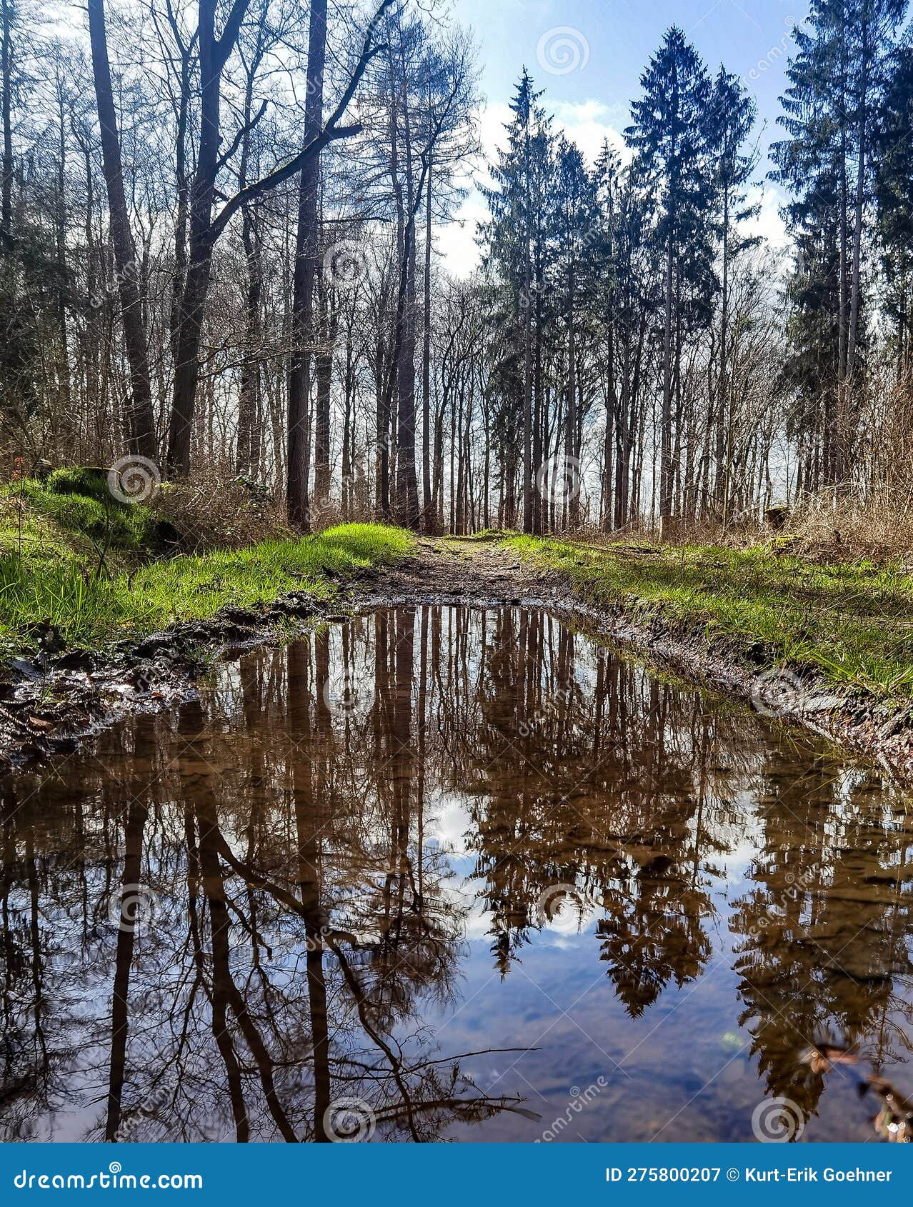 Photos of Nature in Northern Germany in Spring Stock Image - Image of ...