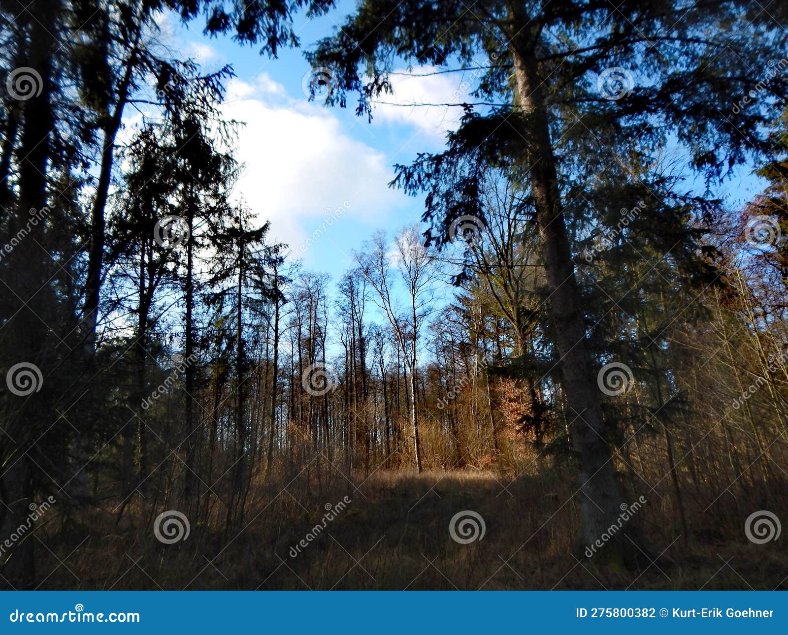 Photos of Nature in Northern Germany in Spring Stock Photo - Image of ...