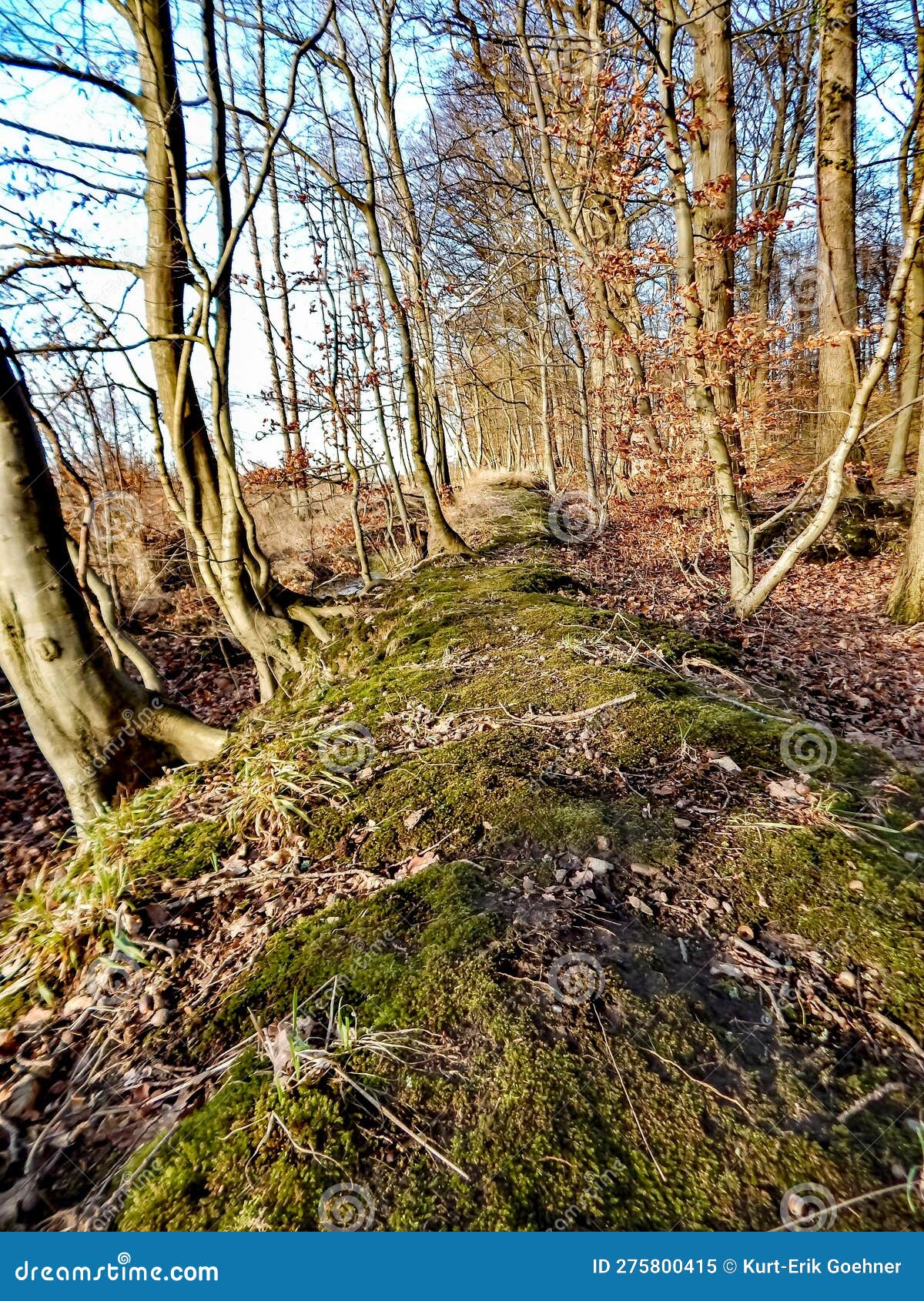 Photos of Nature in Northern Germany in Spring Stock Image - Image of ...