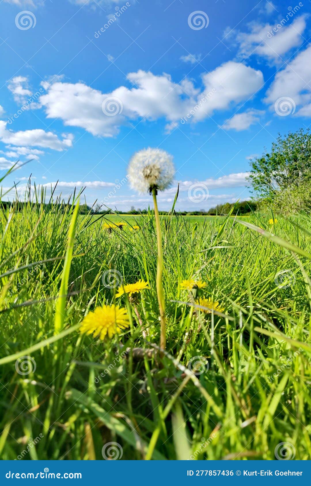 Photos of Nature in Northern Germany in Spring Stock Photo - Image of ...