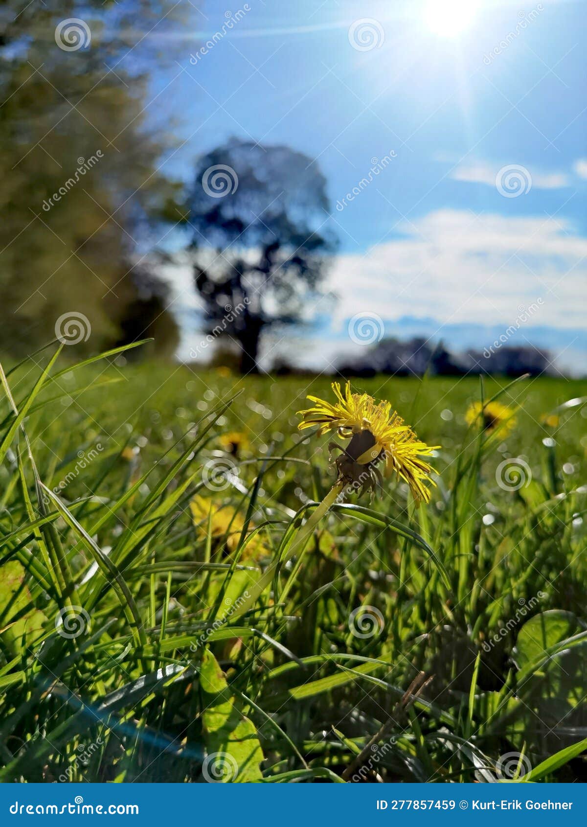 Photos of Nature in Northern Germany in Spring Stock Image - Image of ...