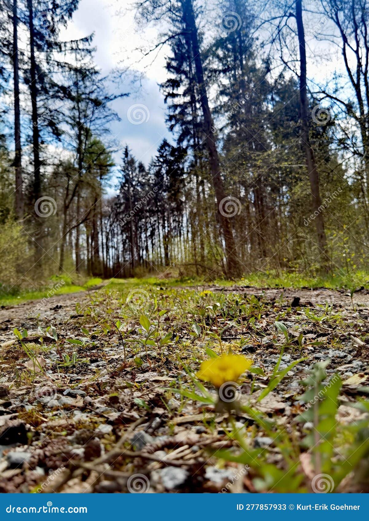 Photos of Nature in Northern Germany in Spring Stock Image - Image of ...