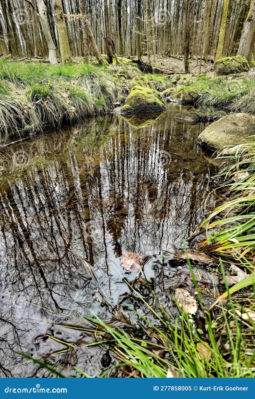 Photos of Nature in Northern Germany in Spring Stock Image - Image of ...