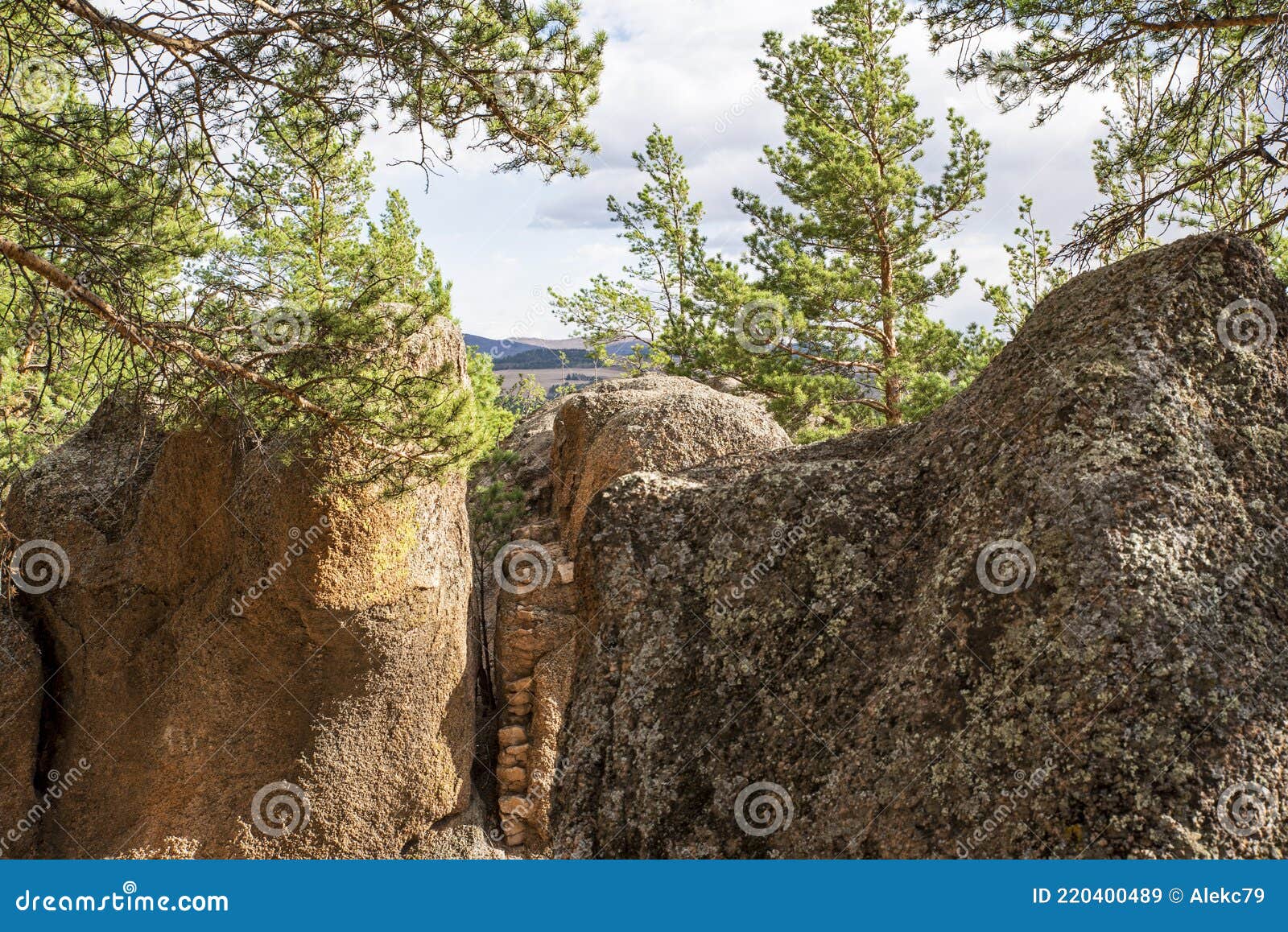 Photos of Pine Cliffs and a Distance View of the Fields Stock Image ...