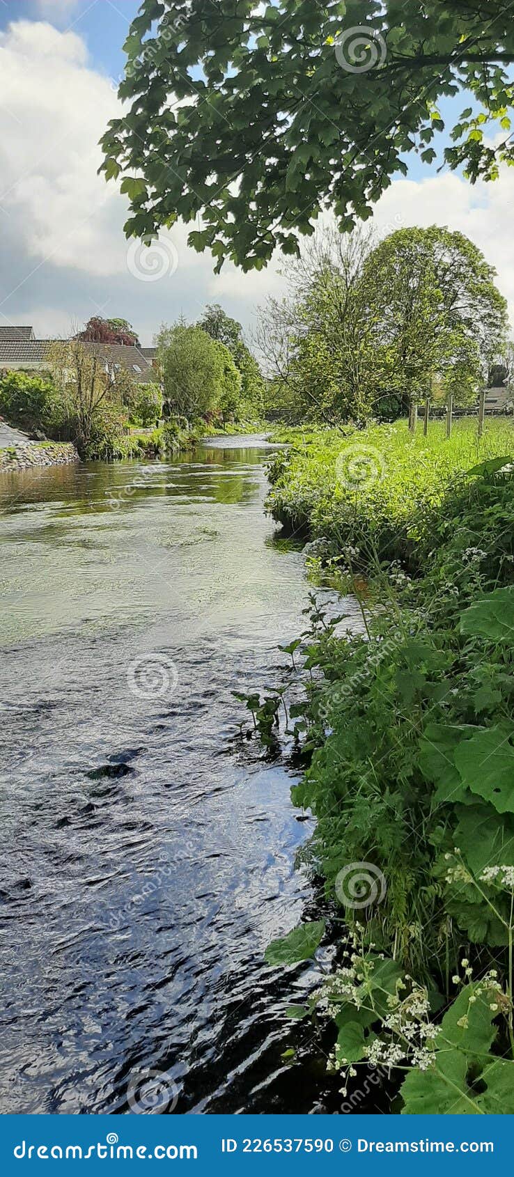 Photos of River Path Walk in Broughshane Stock Photo - Image of river ...