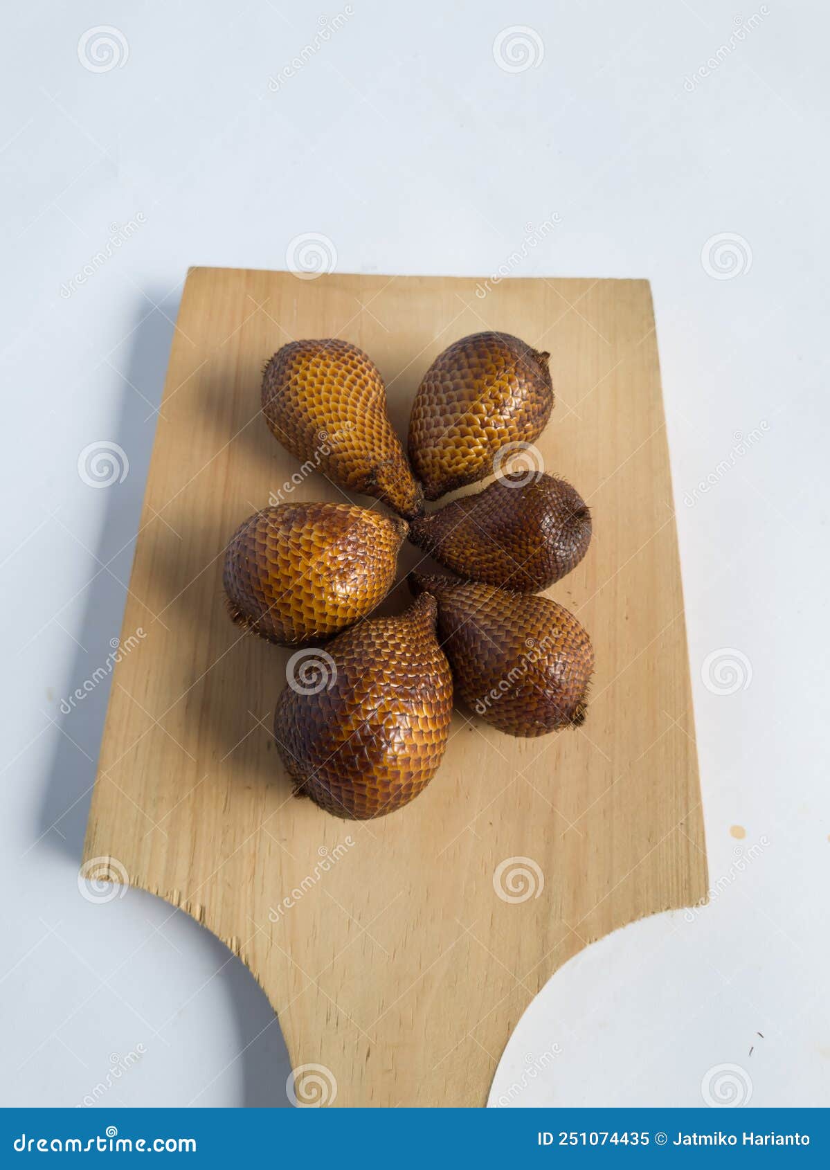 Snakefruit with Dark Brown Skin, the Fruit is Under the Tree Stock ...