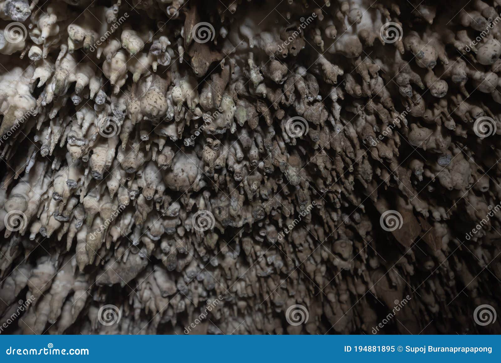 Photos of Stalactites in a Limestone Cave that Took a Long Time until ...