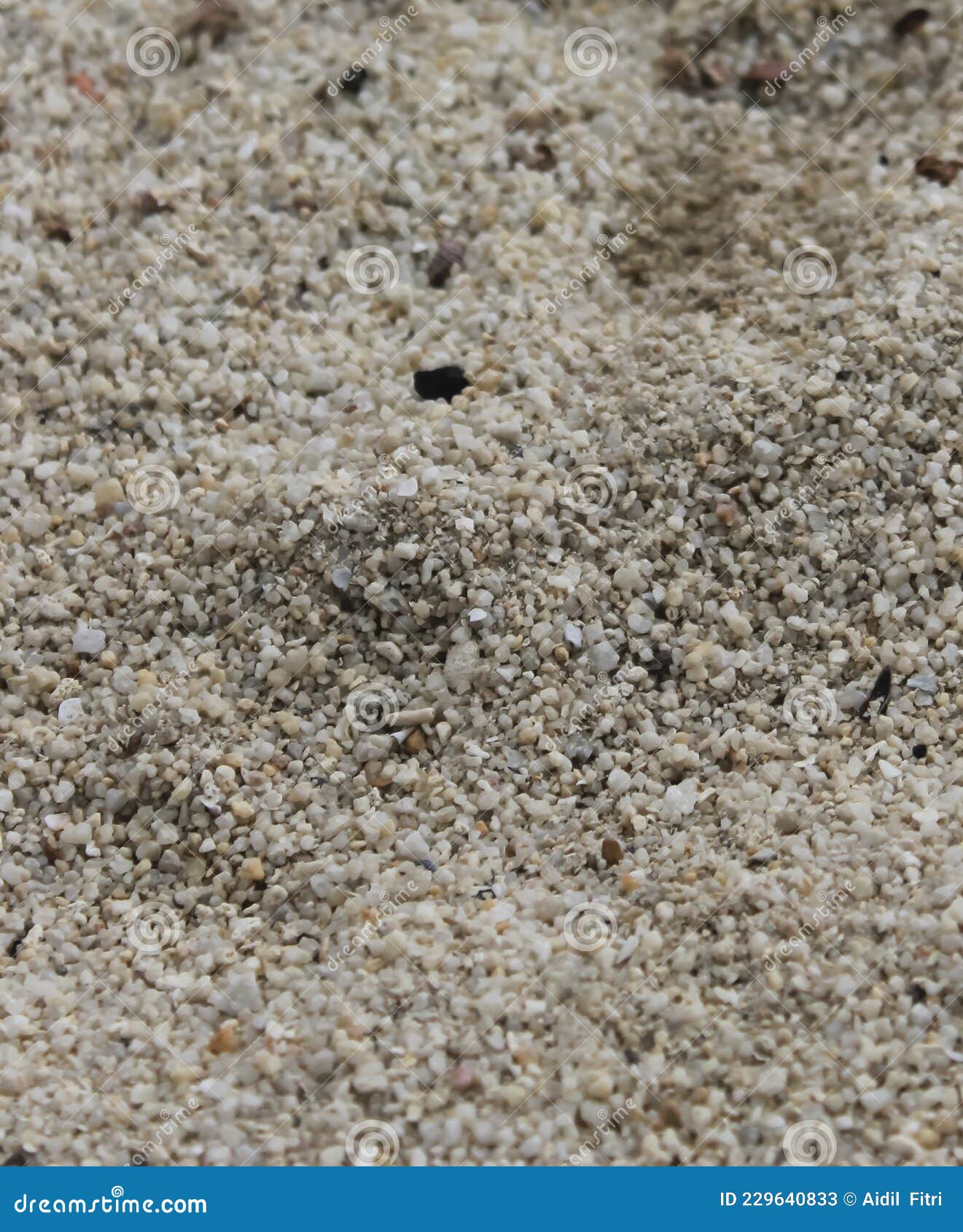 Photos of the Surface of the Beach Sand Stock Image - Image of floor ...