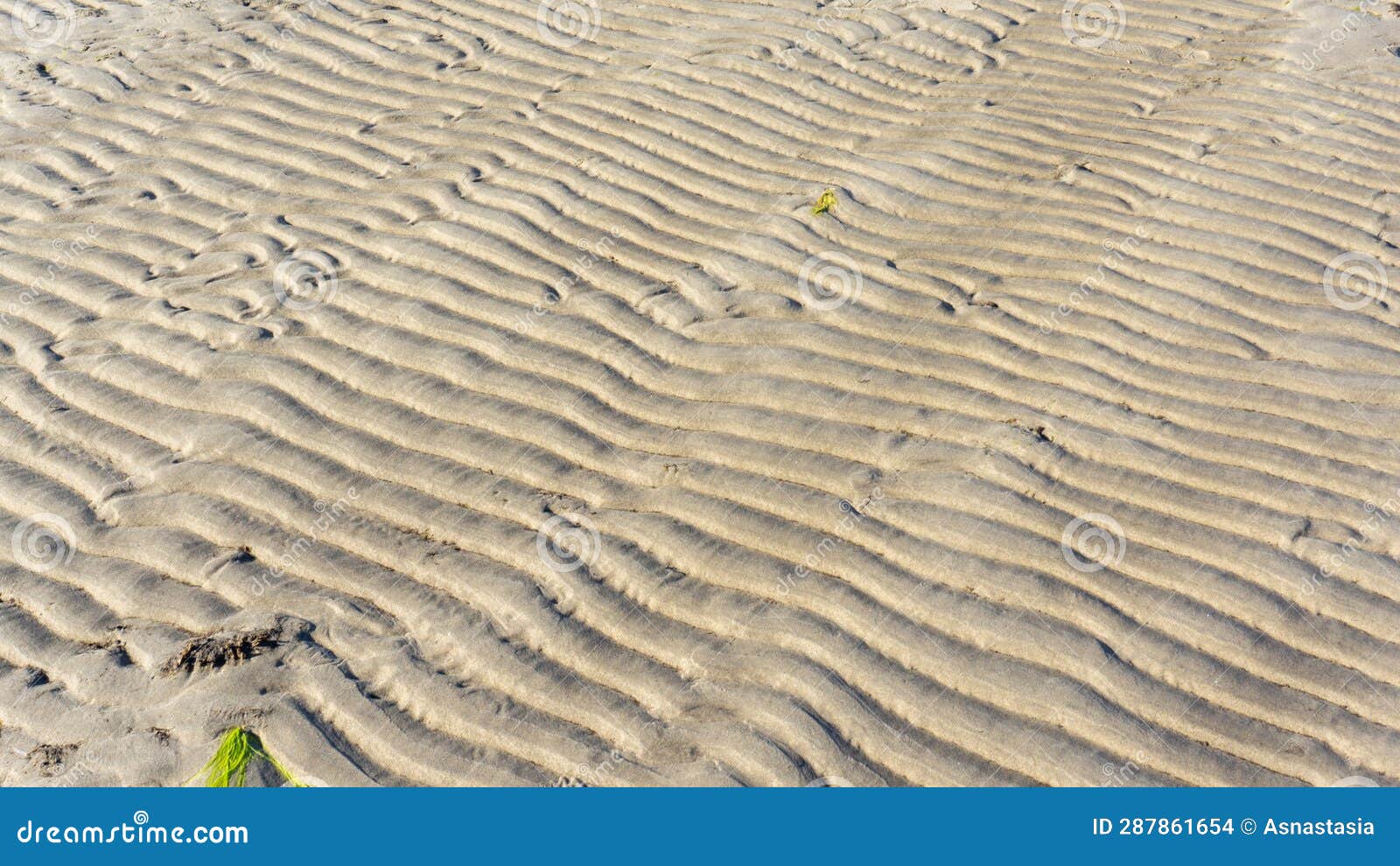 A Natural Pattern Created by the Sea. Photos of Undulating Sea Sand ...