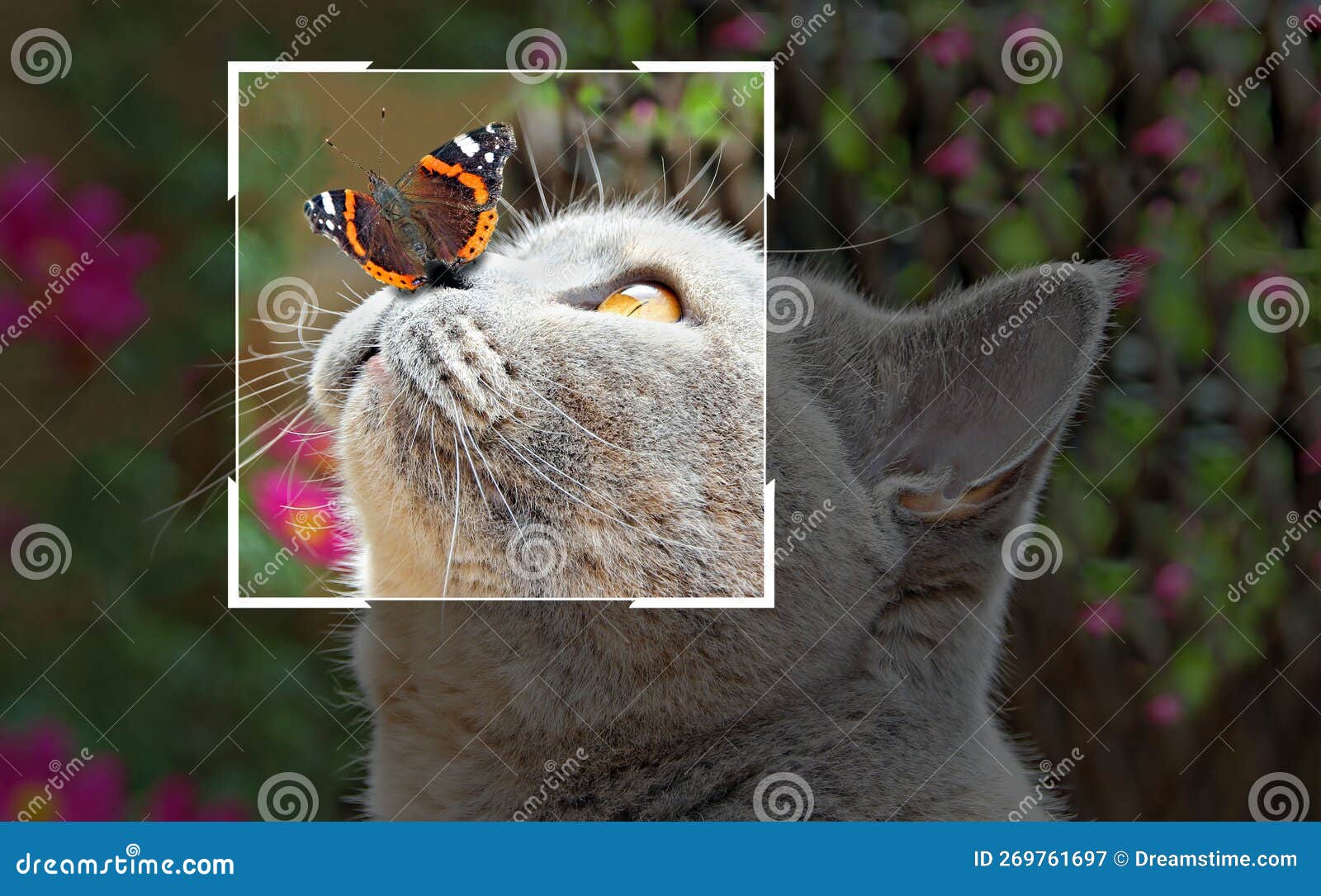 Photoshop Editing Edit Tools Marquee Rectangular Crop Adjustment Layer ...