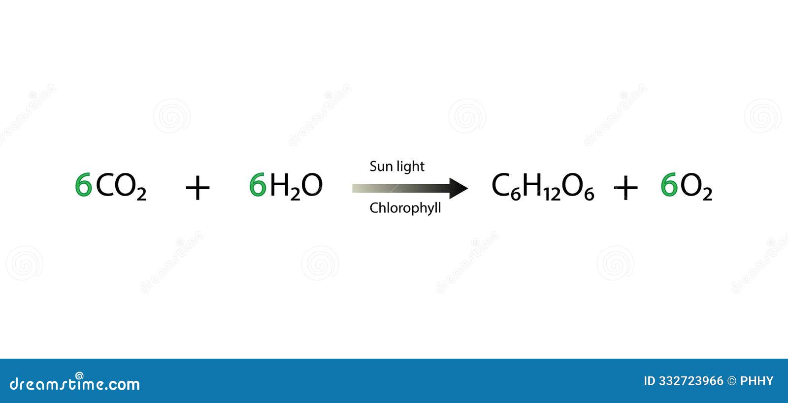 Photosynthesis Process, Photosynthesis Equation Formula, Biology ...