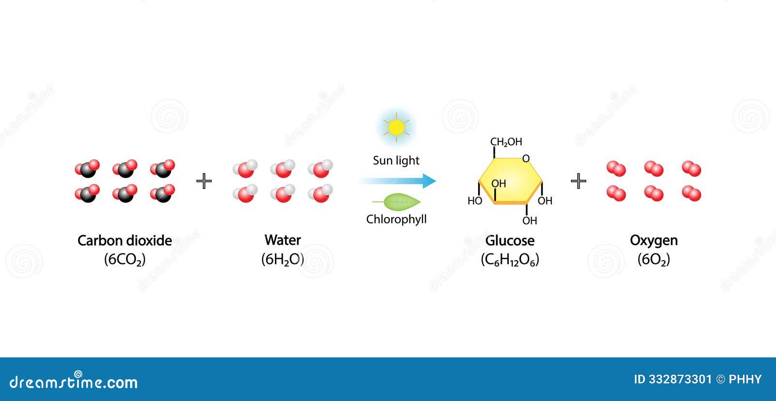 Photosynthesis Process, Photosynthesis Equation Formula, Biology ...