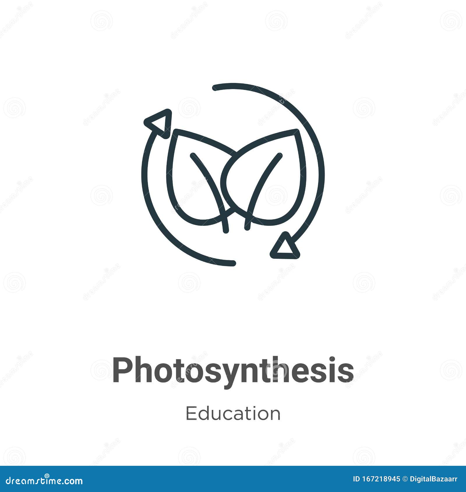 Photosynthesis Outline Vector Icon. Thin Line Black Photosynthesis Icon ...