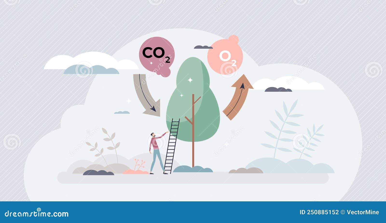 Photosynthesis Process Simple Visualization with Plant Tiny Person ...