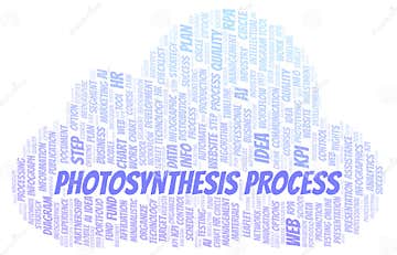 Photosynthesis Process Typography Word Cloud Create with the Text only ...