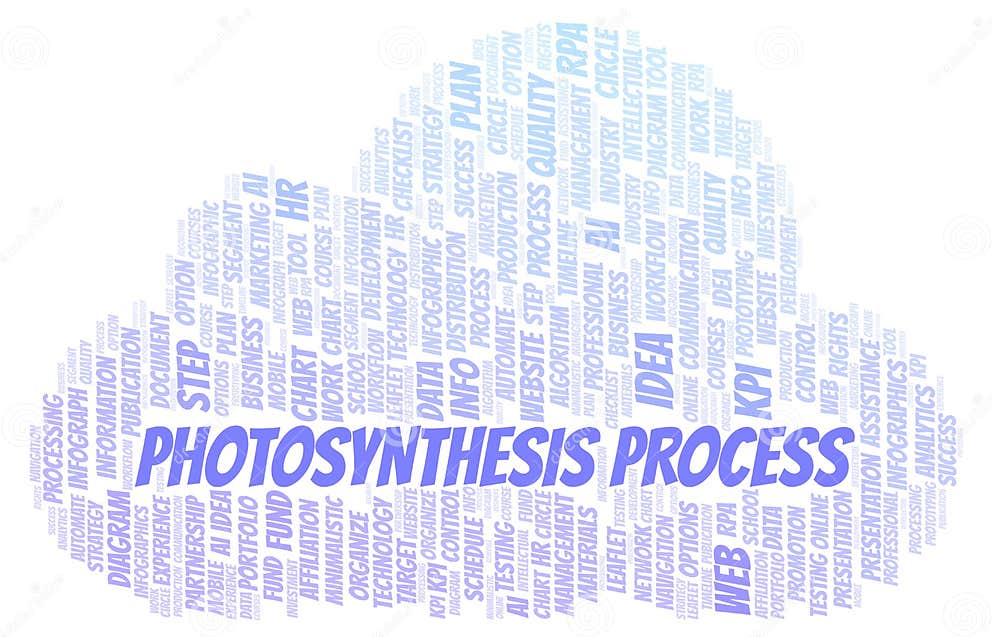 Photosynthesis Process Typography Word Cloud Create with the Text only ...