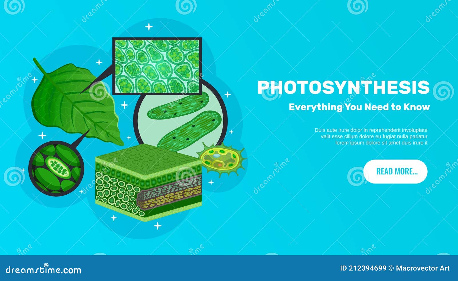 Photosynthesis Website Banner Stock Vector - Illustration of nutrient ...