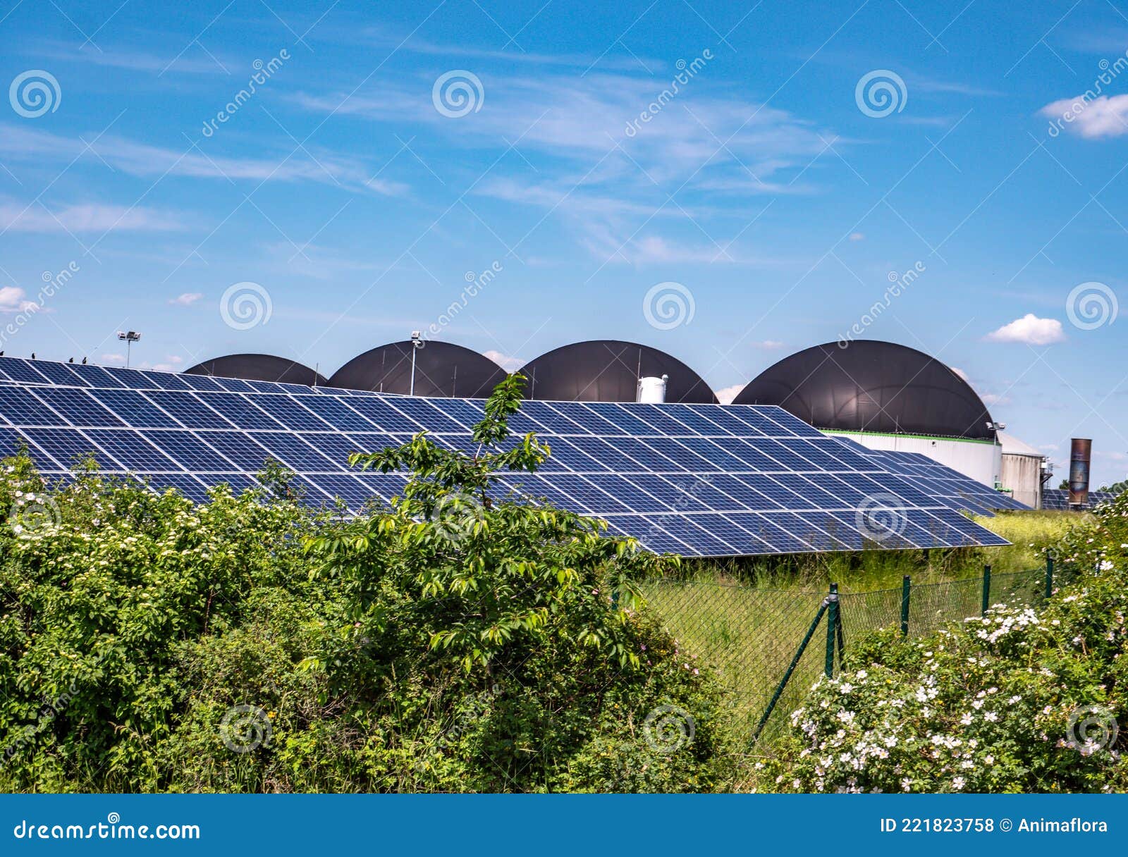Photovoltaic System With Biogas System In The Background Stock ...