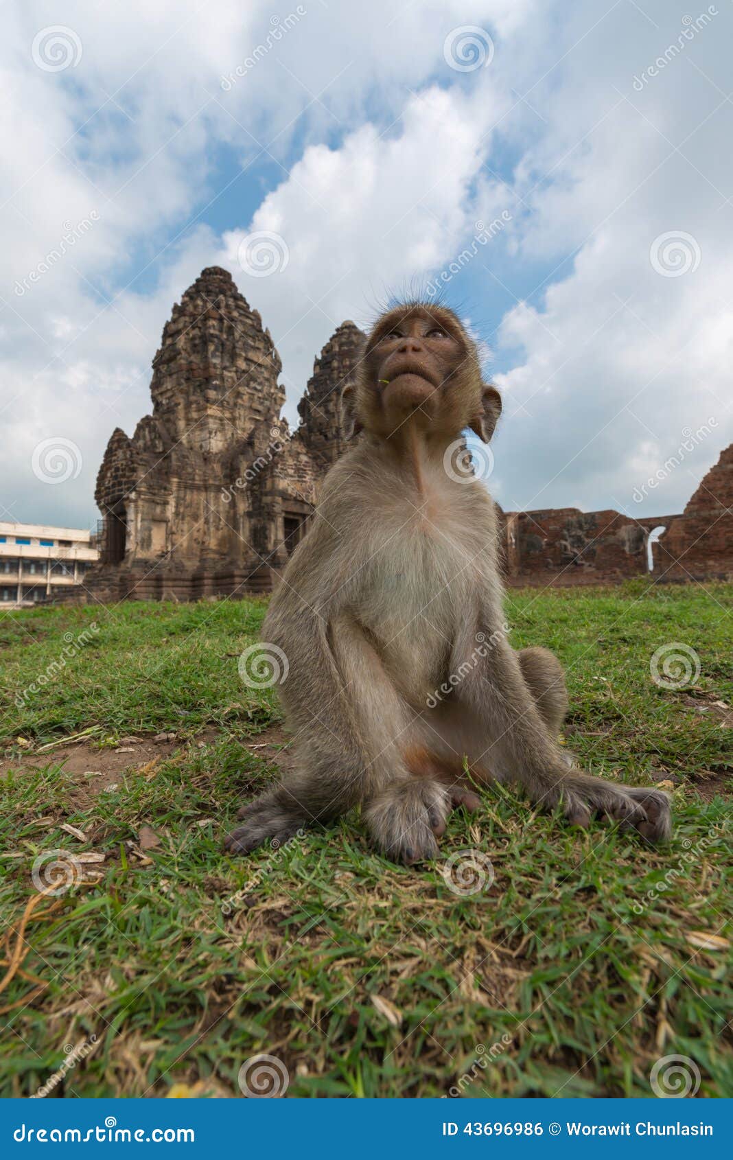 Phra Prang Sam Yot stock photo. Image of culture, lopburi - 43696986