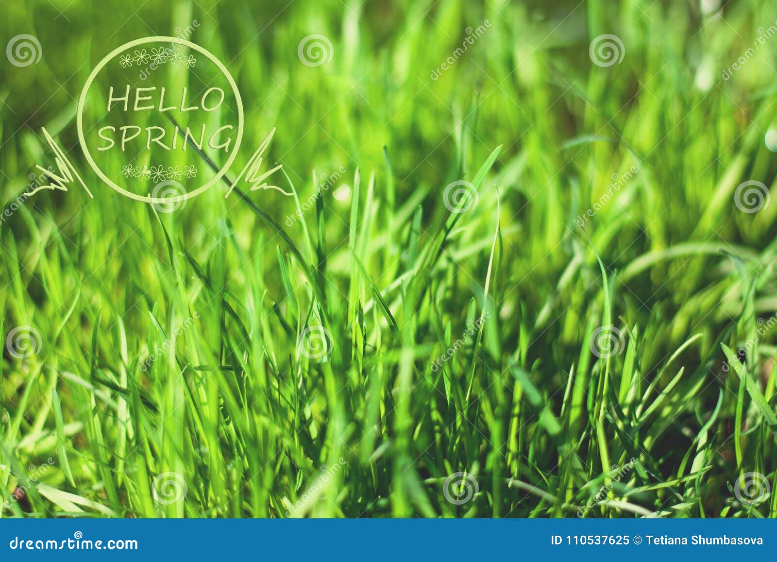 Phrase Hello Spring Over Green Grass Stock Image - Image of backdrop ...