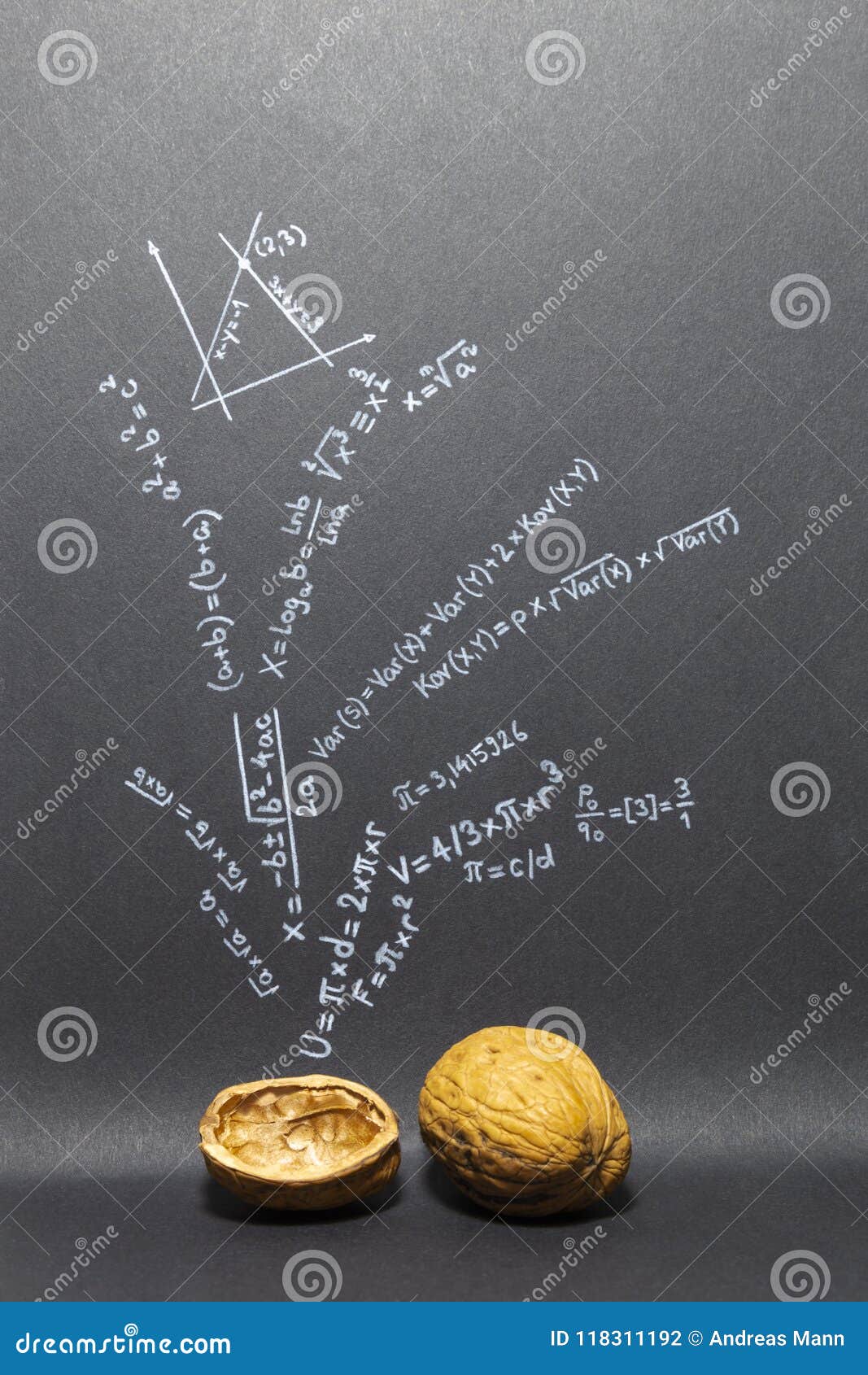 Phrase Mathematics in a Nutshell Stock Photo - Image of digital ...