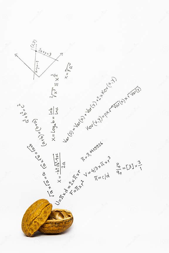 Phrase Mathematics in a Nutshell Stock Image - Image of education ...
