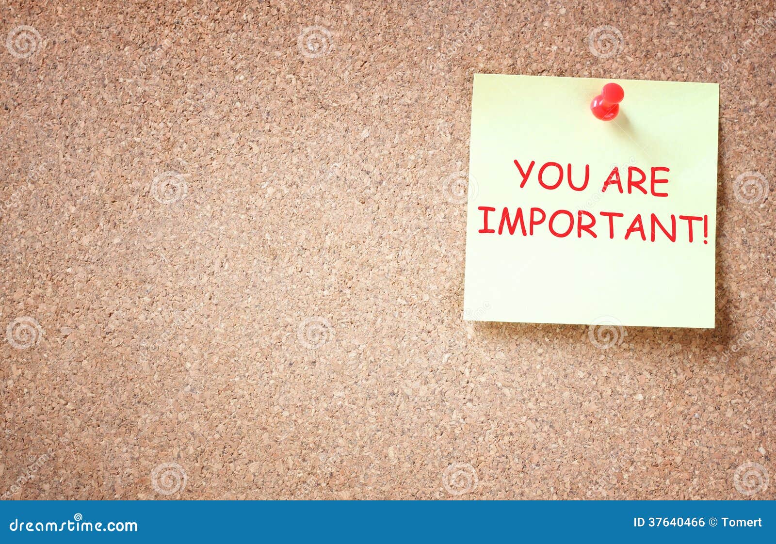 The Phrase You are Important Written Over Sticky Note. Room for Text ...