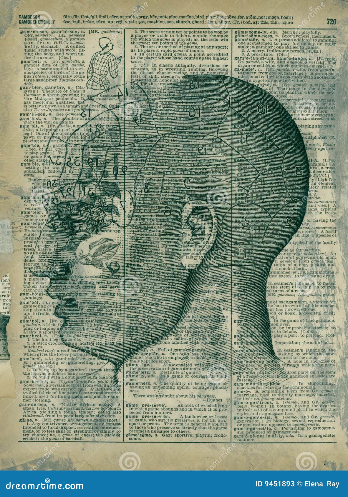 Phrenology Head stock illustration. Illustration of brain - 9451893
