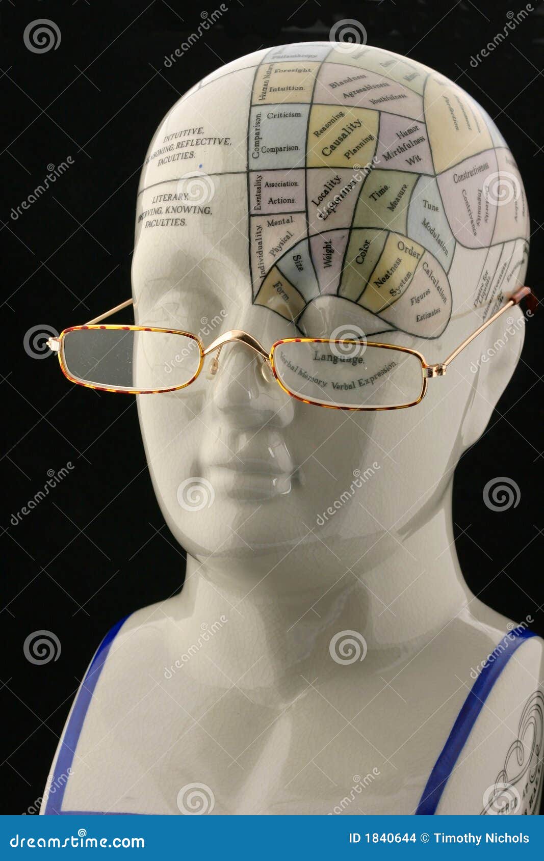 Phrenology Head Chart with Reading Glasses Stock Photo - Image of ...