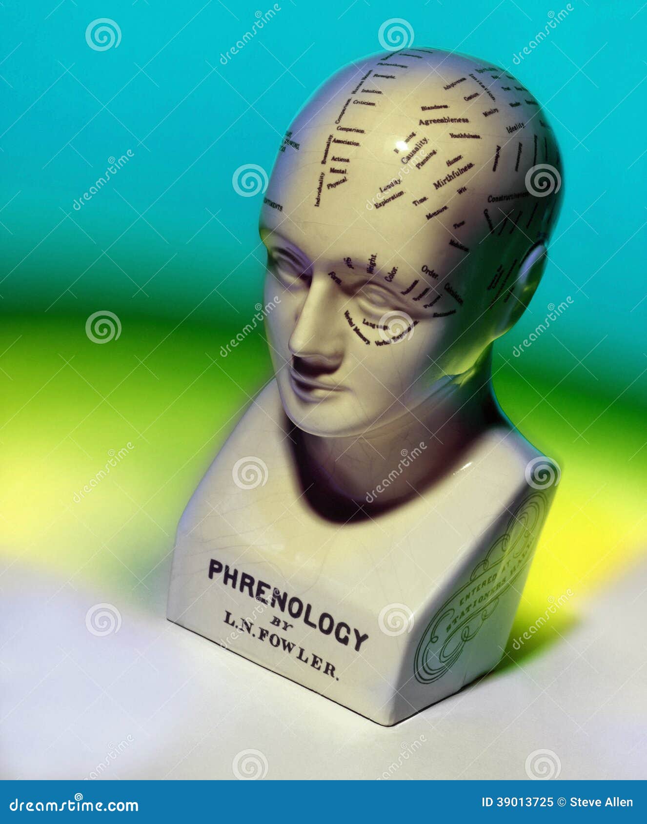 Phrenology Head - Medicine editorial image. Image of philosophy - 39013725