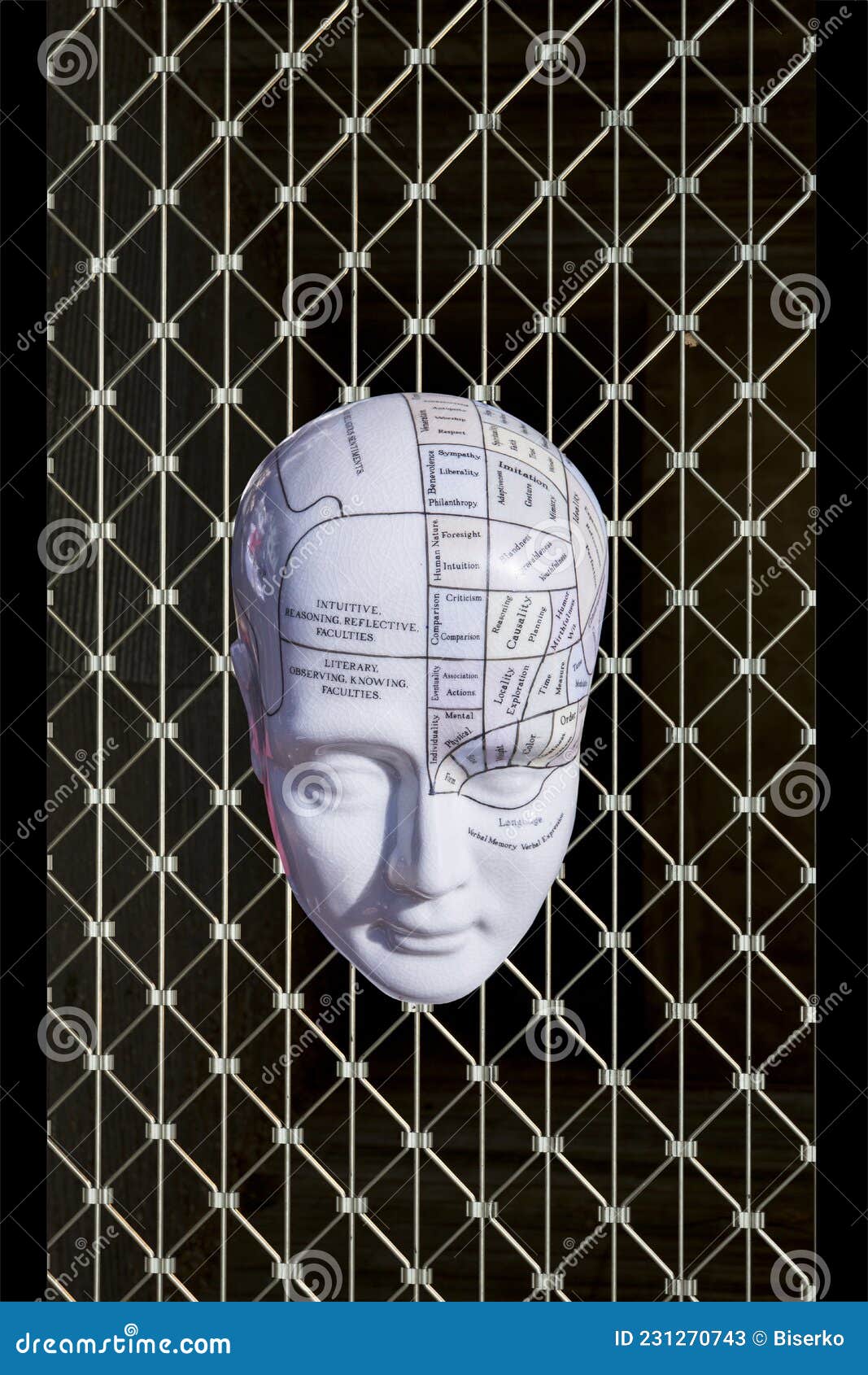 Phrenology Map of the Brain Stock Image - Image of mind, ideas: 231270743