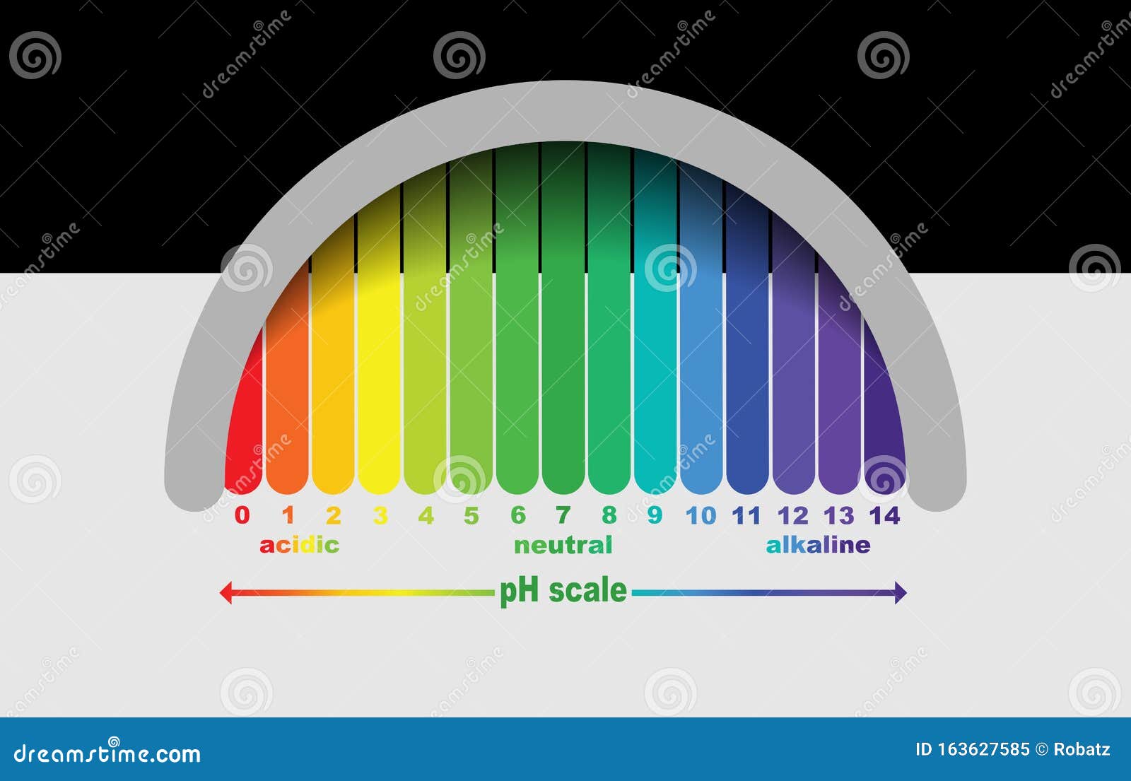 The PH Scale. Ph Alkaline, Neutral And Acidic Scale. Vector ...