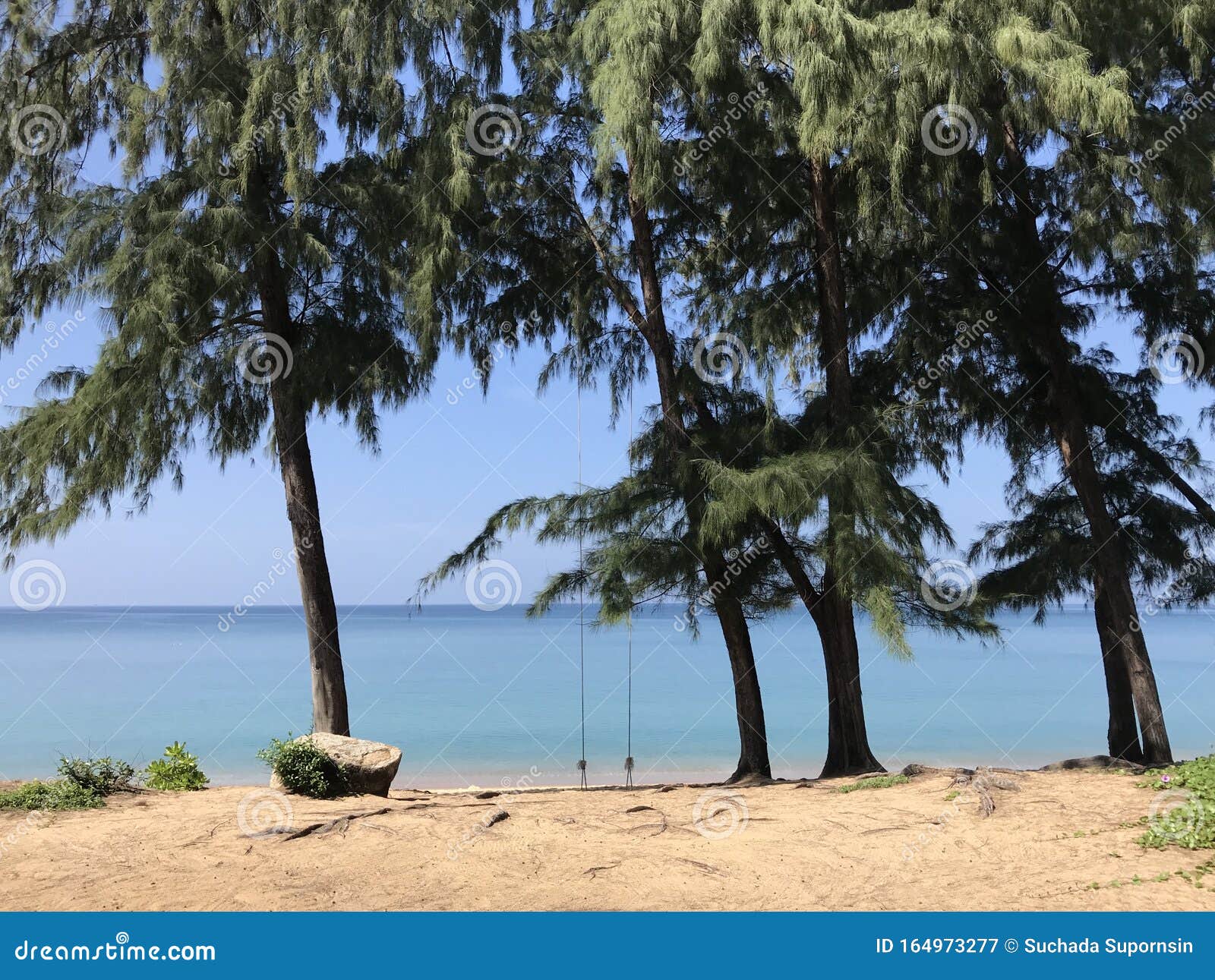 Phuket Sea and Beach Forest with Blue Sky Stock Image - Image of ...
