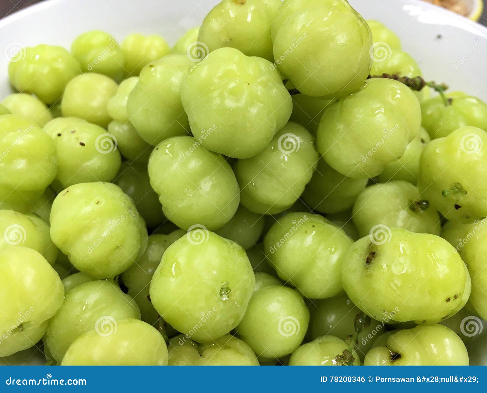 Phyllanthus acidus stock photo. Image of gooseberry, maym - 78200346