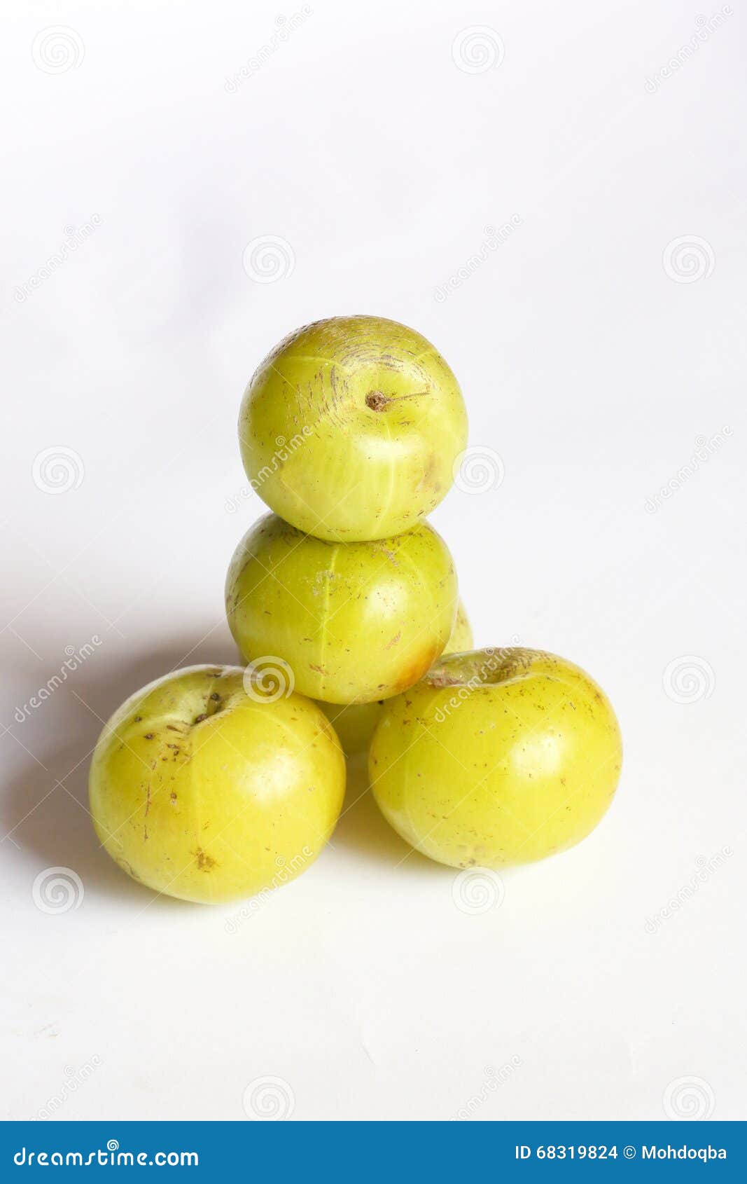 Phyllanthus Emblica Berry Fruit Stock Photo - Image of herb, medicinal ...