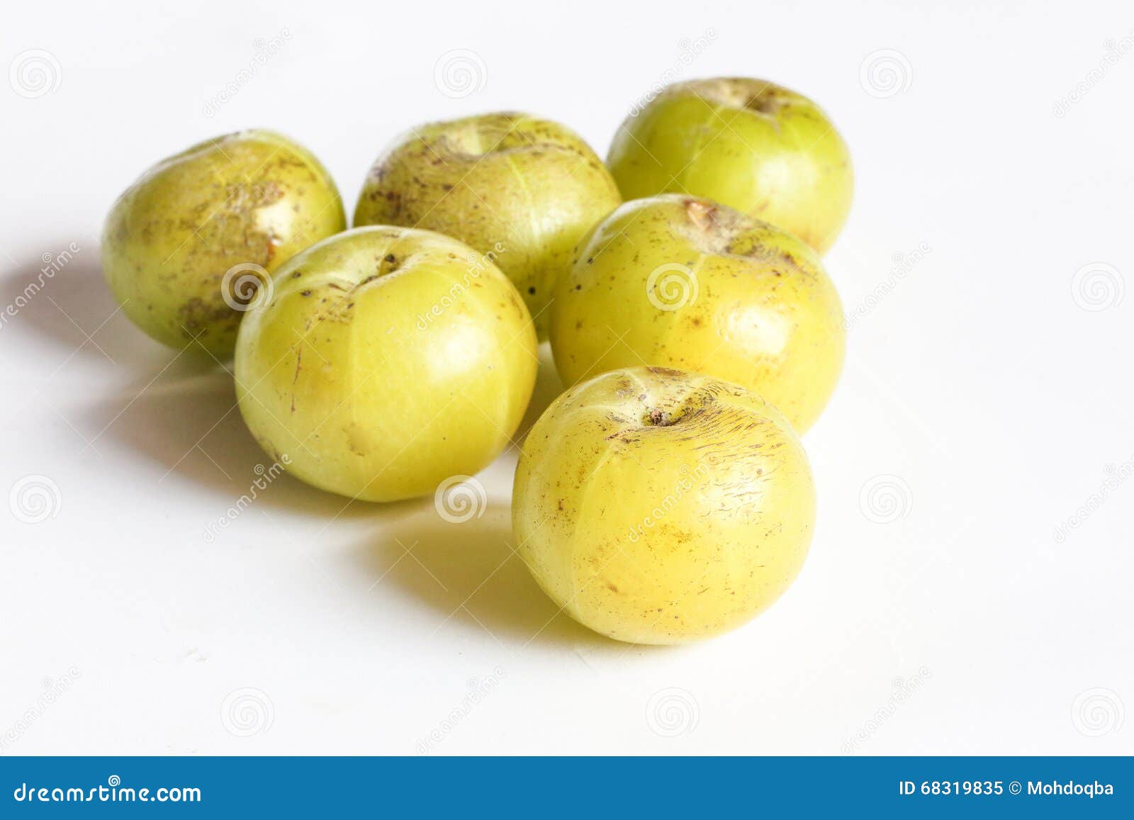 Phyllanthus Emblica Berry Fruit Stock Image - Image of ayurveda, herbal ...