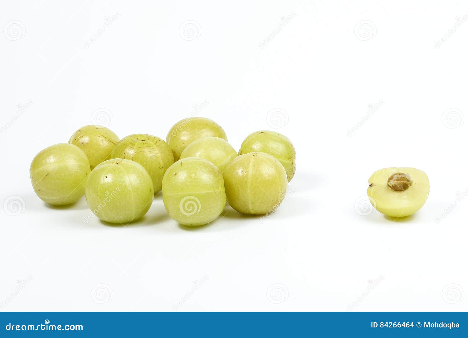 Phyllanthus Emblica Indian Gooseberry Stock Image | CartoonDealer.com ...