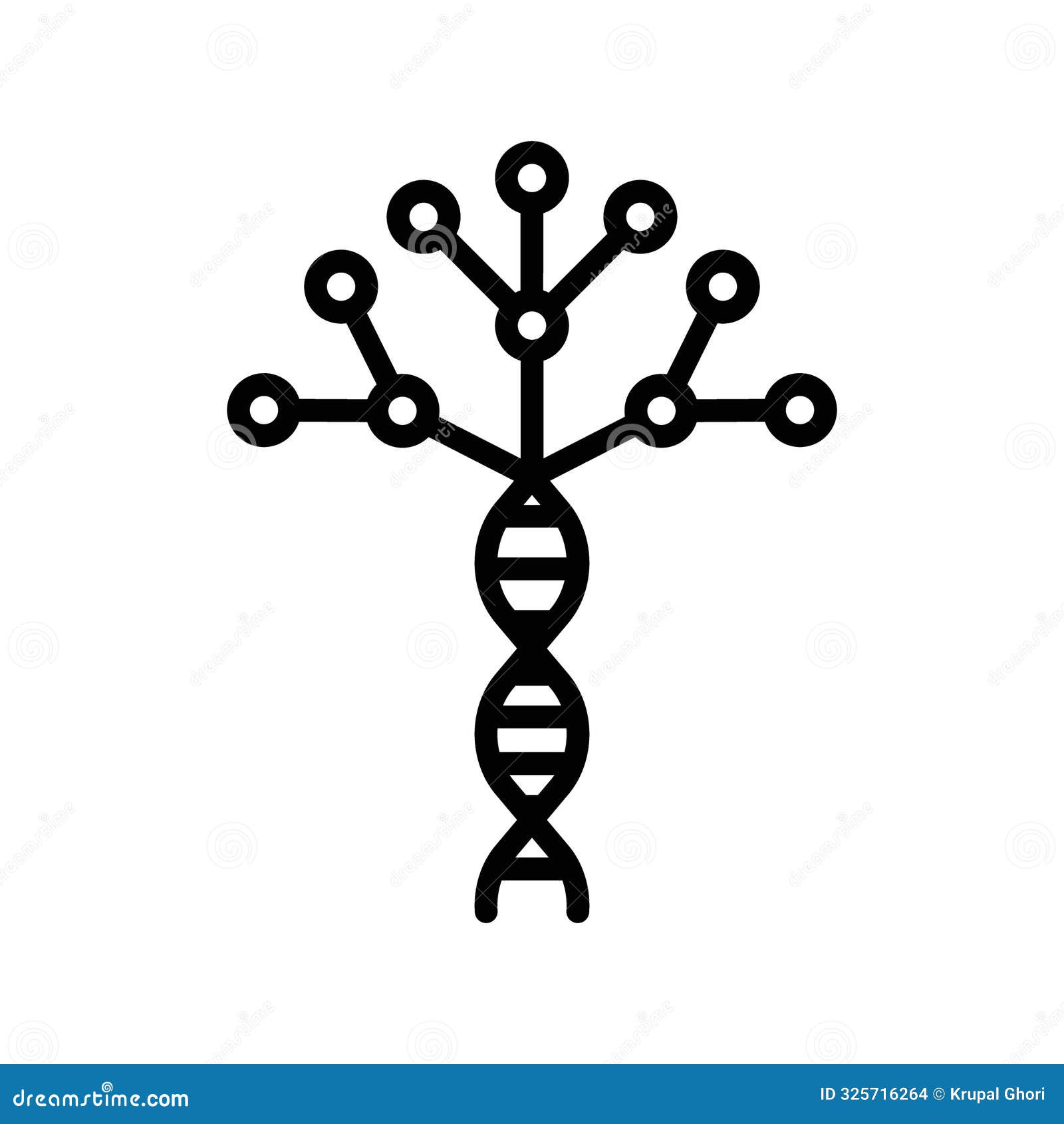 Phylogenetic Tree Icon Set Evolutionary Diagram Illustrations For ...